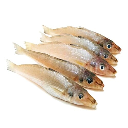 Buy Roy's Meat & Fish Fish - Lady Fish / Kane Online at Best Price of ...