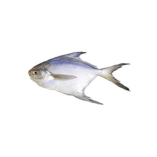 Buy Pathan Mama Fish Fish - White Pomfret Online at Best Price of Rs ...