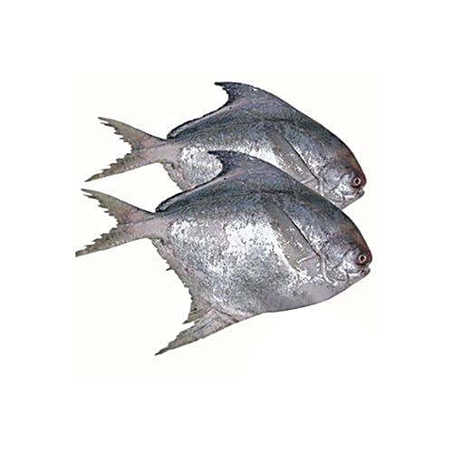 Buy Fresh n Fresh Fish - Black Pomfret (Halwa) Slice cut Online at Best ...