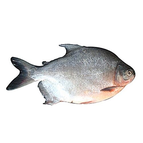 Buy RK Seafood Fish - Roop Chand Online at Best Price of Rs null ...