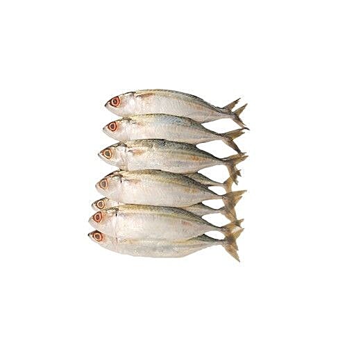 Buy Nolambur Daily Fresh Fish - Indian Mackrel / Ayla Online at Best ...