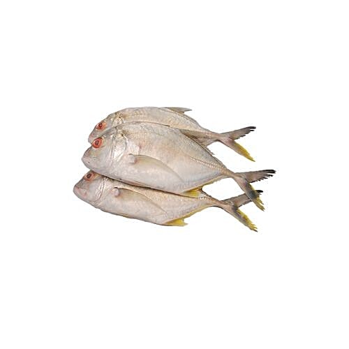 Buy Nolambur Daily Fresh Fish - Trevally / Parai Online at Best Price ...