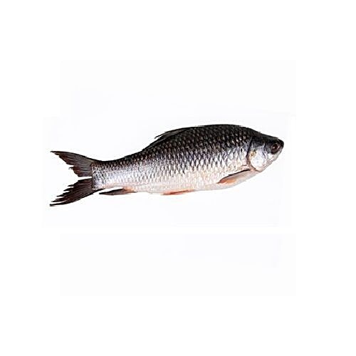 Buy Fish Fresho Fish - Rohu Online at Best Price of Rs null - bigbasket