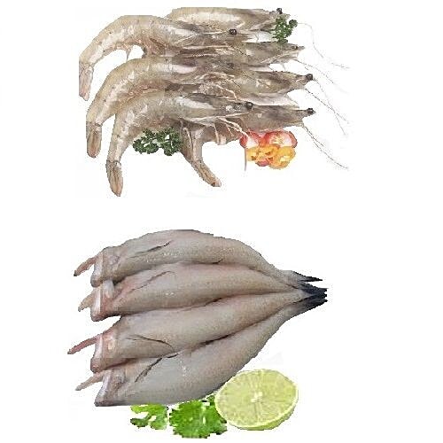 Buy Fresh n Fresh Combo - Prawns & Bombil Online at Best Price of Rs ...
