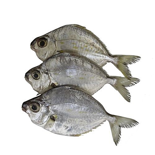 Buy Fresh Catch - BTM Fish - Mullan Online at Best Price of Rs null ...