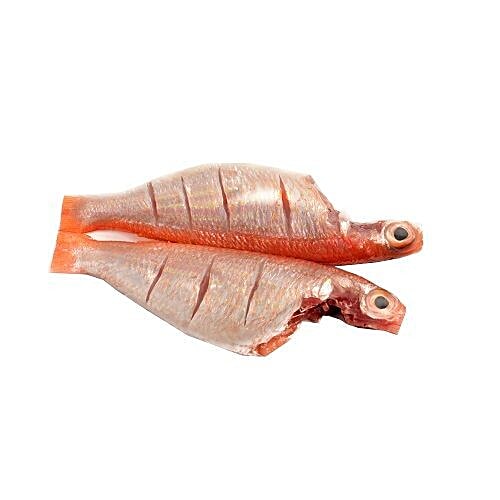 Buy Asir Seafood Fish - Sankara (Big), Pink Perch Online at Best Price ...