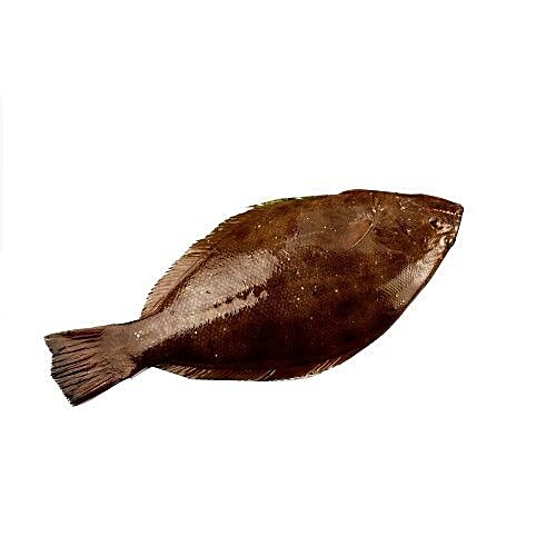 Buy Asir Seafood Fish - Nakku Meen,Sole Online at Best Price of Rs null ...