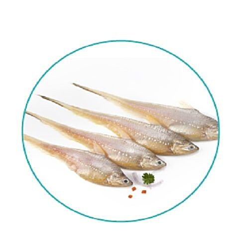 Buy Mermaid Fish - Mandeli Fresh Online at Best Price of Rs null ...