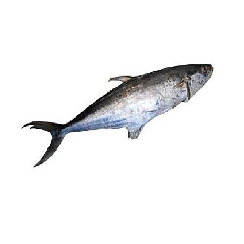 Buy Sai charan fish&chicken Seer Fish (Ready To Cook) Online at Best ...