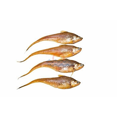 Buy Seavoods Fish Point Fish - Mandeli Online at Best Price of Rs null ...