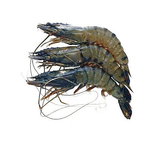 Buy Sanjib Fish Hub Golda Chringri / Prawn Big Online at Best Price of ...