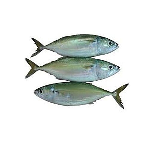 Buy Sai charan fish&chicken Fish - Mackerel (Ready To Cook) Online at ...