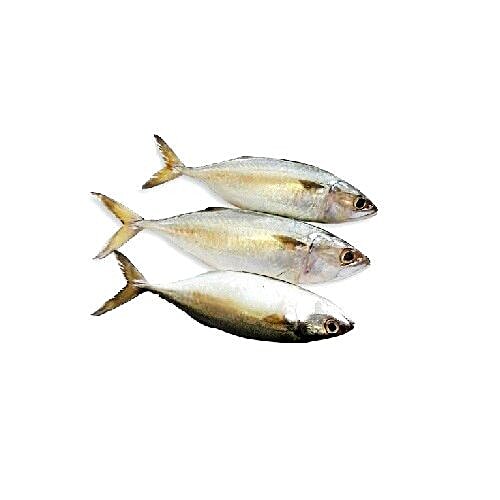 Buy Fish'n'Meat Fish - Ayla Online at Best Price of Rs null - bigbasket