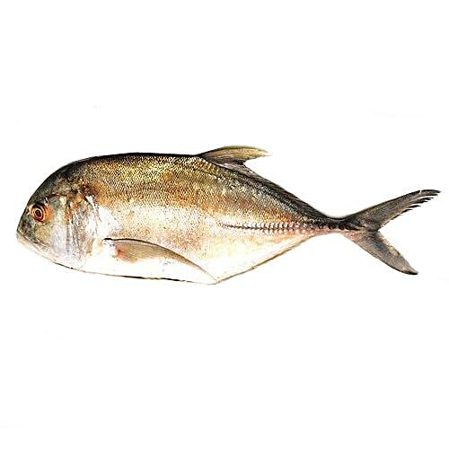 Buy Amma Fish Stall Fish - Paarai / Trevally Online at Best Price of Rs ...