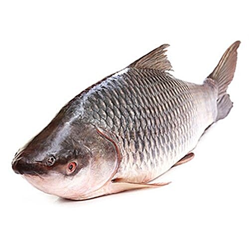 Buy Fish Land Fish - Carp / Rohu / Roghu / Kende 1 kg (Bengali Cut ...