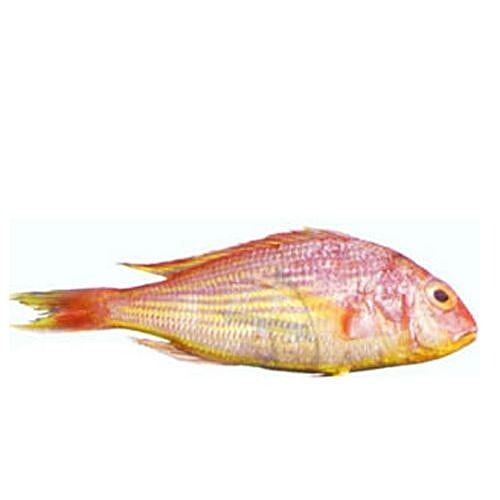 Buy Fish Land Fish - Pink Perch 1 kg (Cleaned) Online at Best Price. of ...