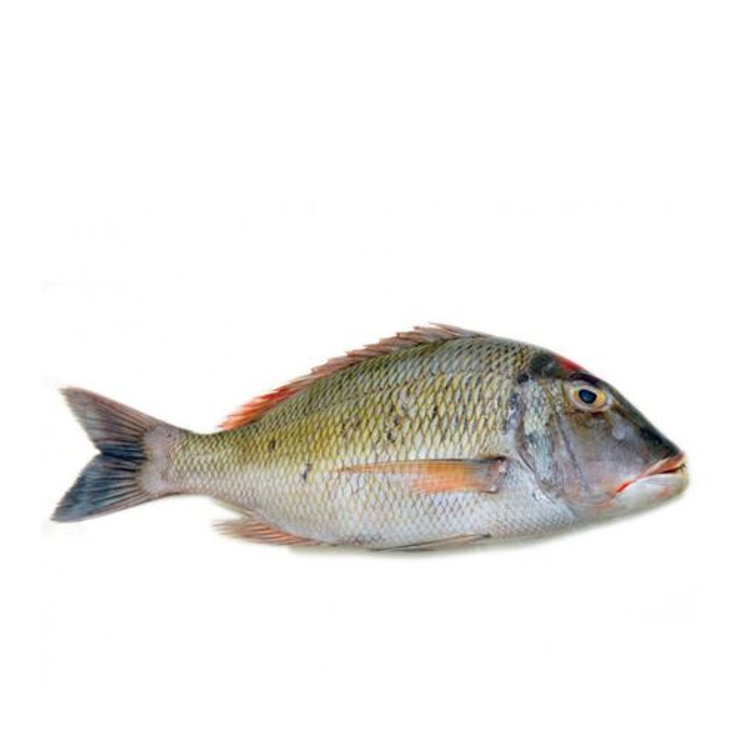 Buy Fresh Catch Fish - Emperor Fish / Villa Meen / Vallai Meen Online ...
