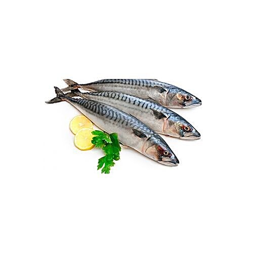 Buy Simon Peter Fish Company Fish Mackerel Bangda Whole Clean 500 Gm ...