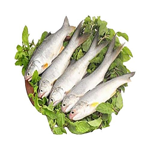 Buy Naturo Virgin Fish - Indian Salmon, Gurjali Special Cut Online at ...