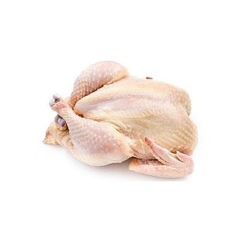 Buy Amir Chicken; Nanded City Chicken - Whole With Skin Online at Best ...