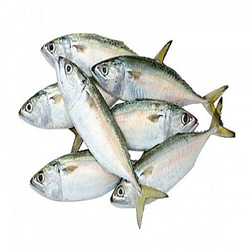 Buy Fresh Catch- Lokhandwala Fish - Bangda Online at Best Price of Rs ...