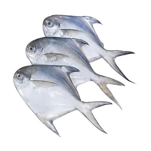 Buy Fresh Farm Mart Fish - White Pomfret, Whole Online at Best Price of ...