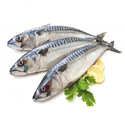 Buy Fish Fish - Mackerel Special Online at Best Price of Rs null ...