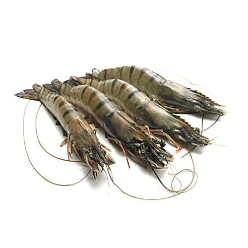 Buy Fresh Catch Bagda / Tiger Prawn, Medium Processed, 20-22 Pcs Online ...