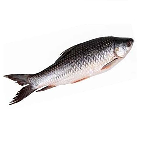 Buy DAILY FRESH Fish - Rui / Rohu, Curry Cut With Head & Tail Online at ...