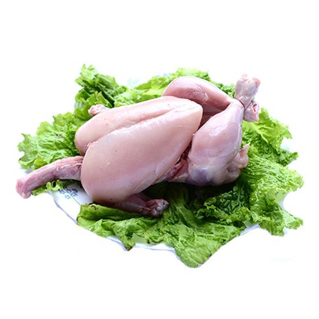 Buy Best Halal Meat Chicken Whole Broiler Full Without Skin Halal Cut ...
