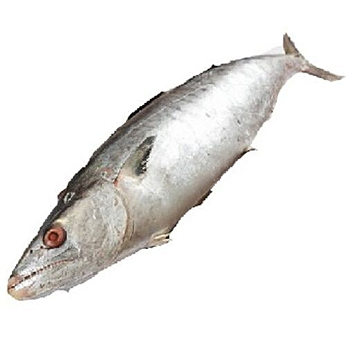 Buy S M Fish Merchant Fish - Medium Surmai / King Fish, Fillets Online ...