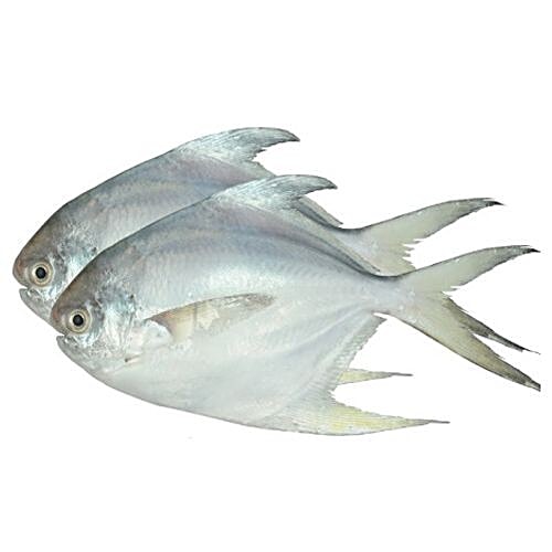 Buy Pankaj Fish Merchant Fish - Silver Pomfret Online at Best Price of ...