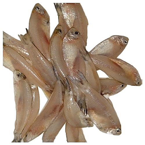 Buy Fish 29 Fish - Gang Mourola, Curry Cut Cleaned Online at Best Price ...