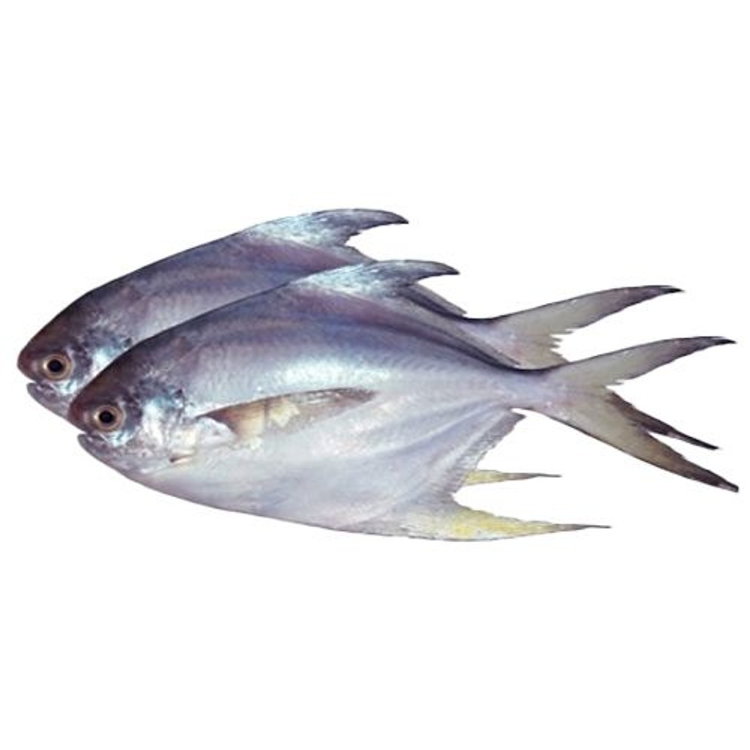 Buy Fish 29 Fish - Rupchand, Bengal Cut Cleaned Online at Best Price of ...