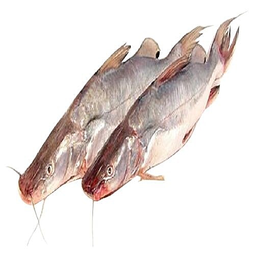 Buy Fish 29 Fish - Aar, Bengal Cut Cleaned Online at Best Price of Rs ...