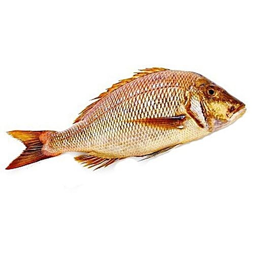 Buy Madras Market Fish - Emperor / Vilai Meen Online at Best Price of ...