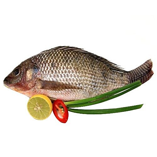 Buy Machli Ghar Fish - Tilapia / Telapia, Standard Size Online at Best ...