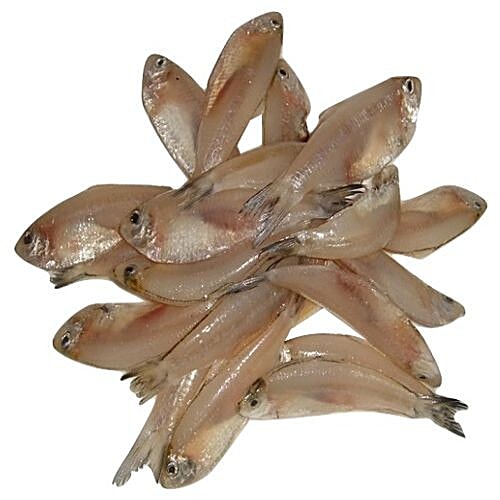 Buy Machli Ghar Fish - Mourola Online at Best Price of Rs null - bigbasket