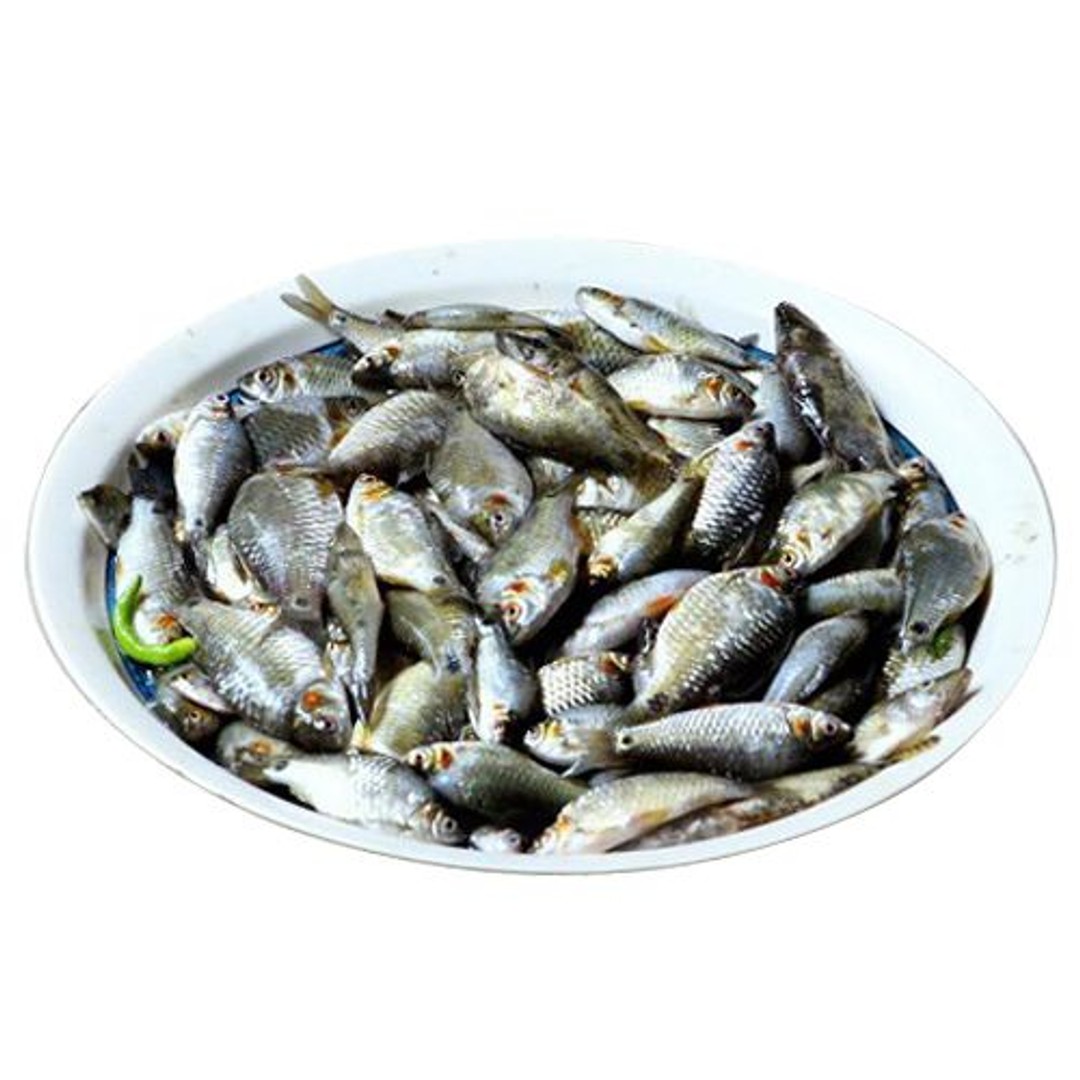 Buy Machli Ghar Fish - Puti Online at Best Price of Rs null - bigbasket