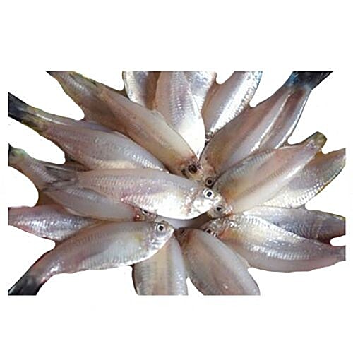 Buy Machli Ghar Fish - Amudi Online at Best Price of Rs null - bigbasket