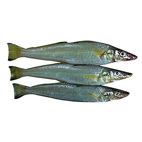 Buy ME FRESH Fish - Lady Fish / Kane 1 kg (Curry cut) Online at Best ...