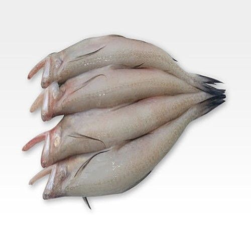 Buy Fresh n Fresh Fish - Bombil Online at Best Price of Rs 180 - bigbasket