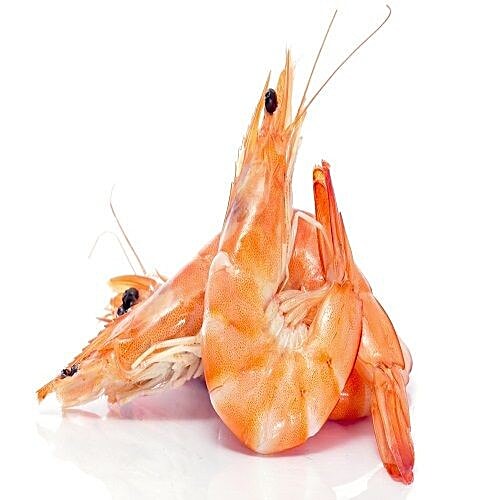 Buy FRESHLY Fish - Chingri / Prawn, Big Size Online at Best Price of Rs ...