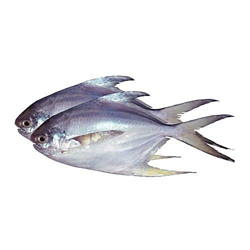 Buy Fish Fish - Rupchanda Online at Best Price of Rs null - bigbasket
