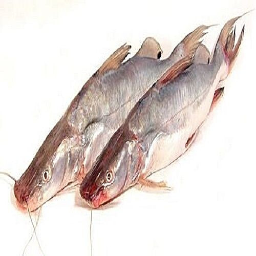 Buy Fish Fish - Ayre / Aar Large Size Curry Cut With Head & With Tail ...