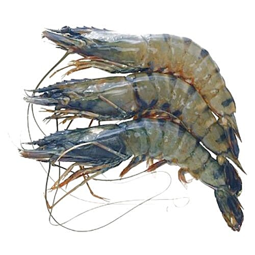 Buy AK Daily Bazaar Fish - Bagda Chingri / Tiger Prawn Online at Best ...