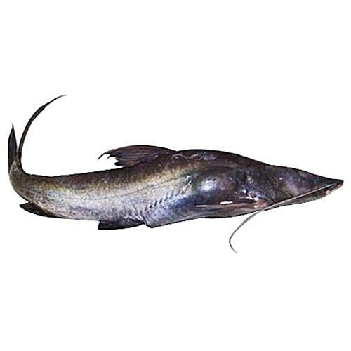 Buy AK Daily Bazaar Fish - Ayr Large Size, Curry Cut With Head & Tail ...