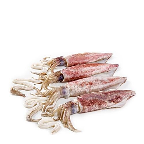 Buy Sakana Fish - Squid / Kanava 500 gm (Whole) Online at Best Price ...