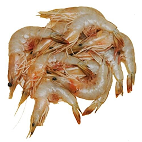 Buy Antony Fish Shop. Prawn - White / Vellai Eral, Medium Online at ...