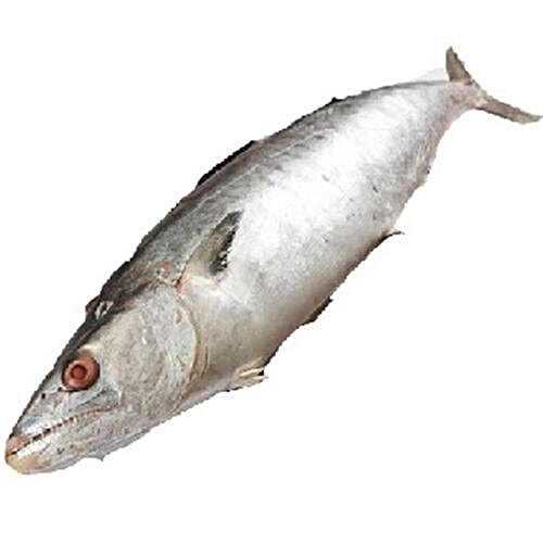 Buy The Meaty Affair Surmai Fish - Big Online at Best Price of Rs null ...